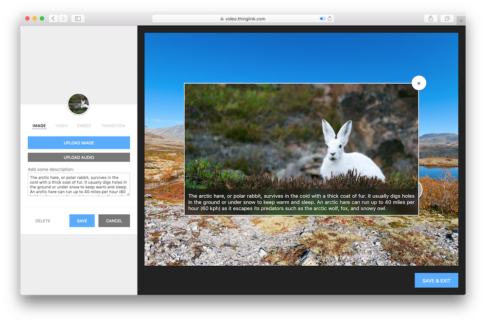 editor | ThingLink Blog